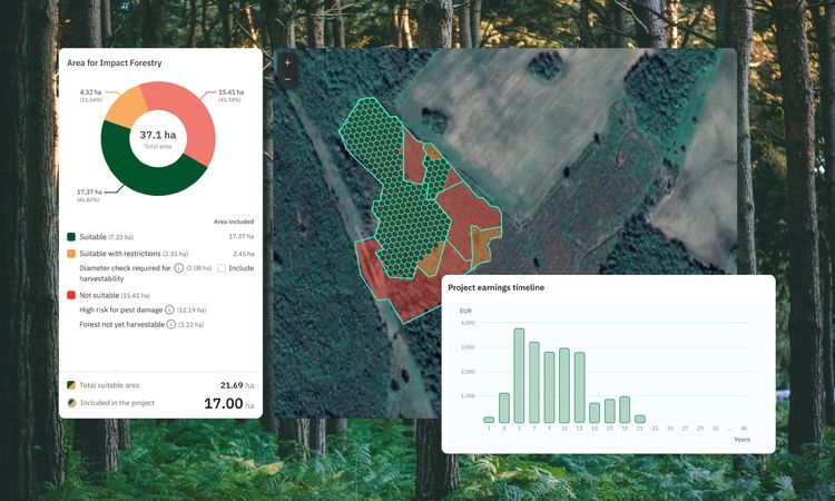 Monitoring afforestation projects